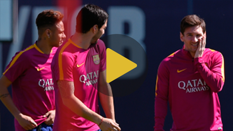 Ya falta menos para volver a ver a la MSN juntos de nuevo